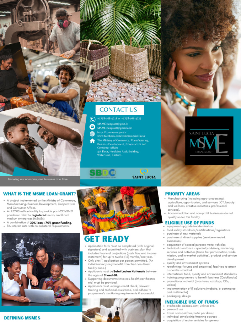 MSME Loan Grant Facility Business Brochure Msme2 | PDF | Revenue | Debt