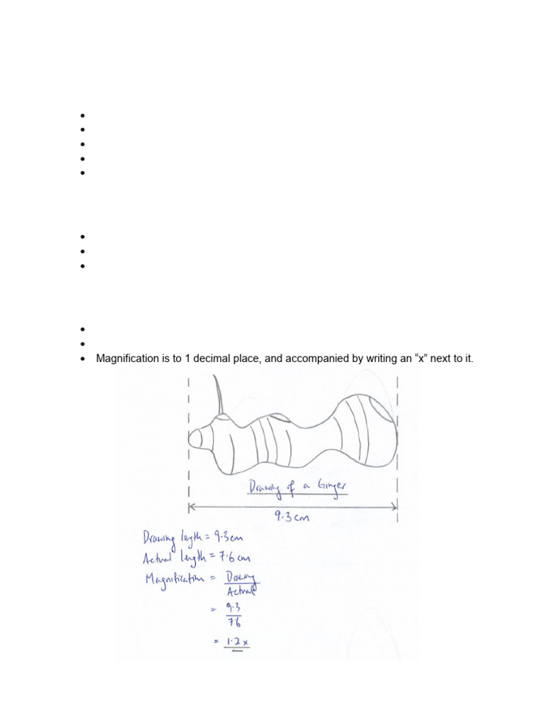 Biology Drawing and Labeling Guide | PDF