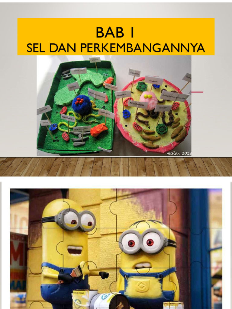Struktur dan Fungsi Sel Organisme | PDF