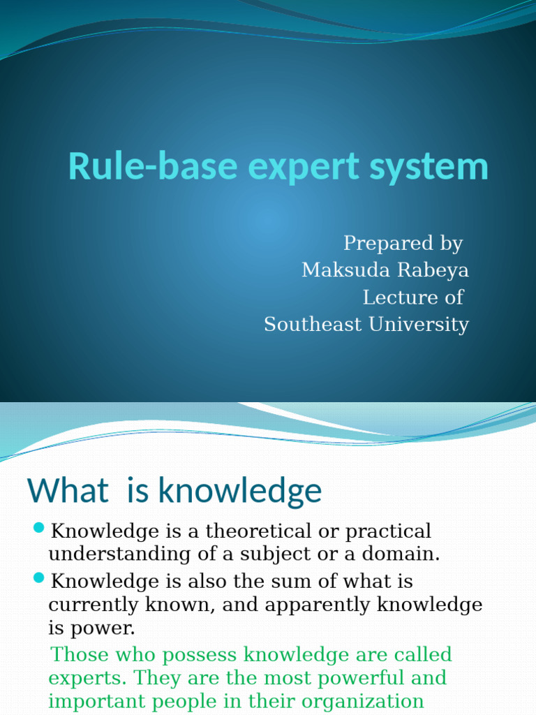 Understanding Rule-Based Expert Systems | PDF | Knowledge | Knowledge ...