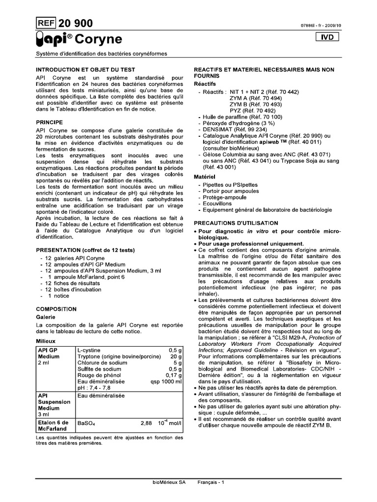API Coryne | PDF