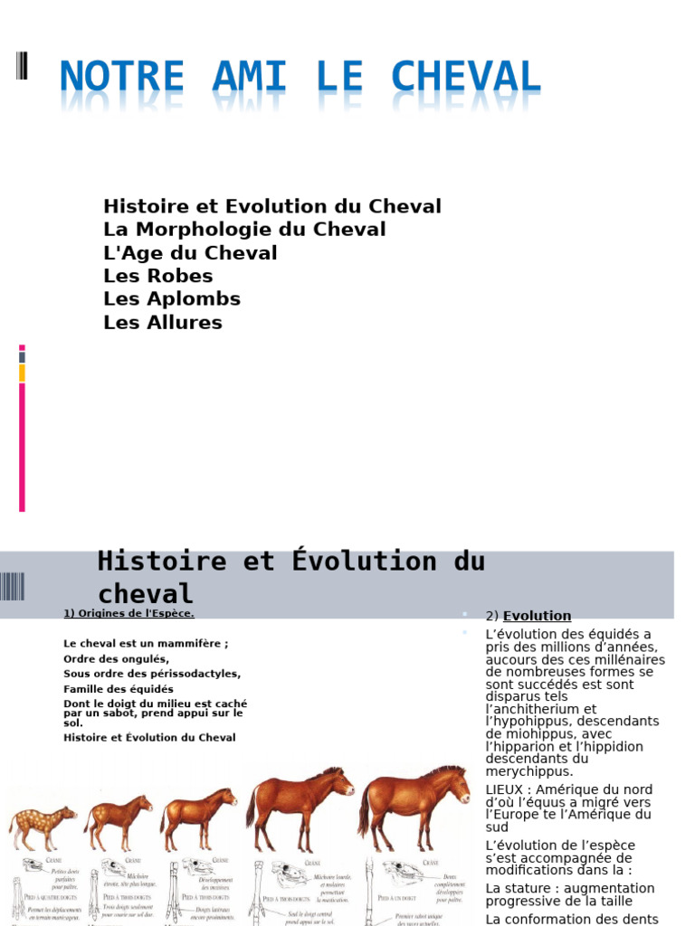 Histoire et Évolution du Cheval | PDF | Equus (genre) | Chevaux