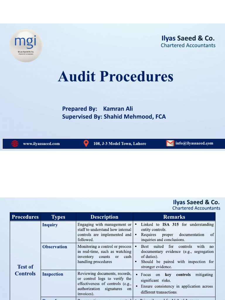 Audit Procedures | PDF