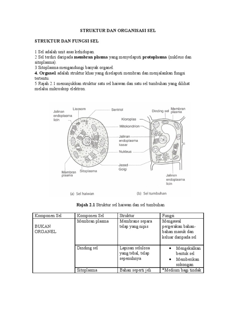 Nota Biologi Form 4 Chapter 2 | PDF