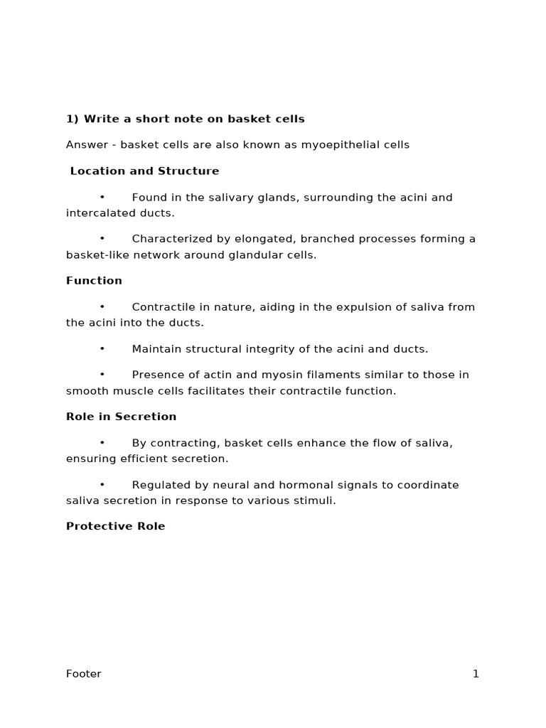 Overview of Basket Cells in Salivary Glands | PDF