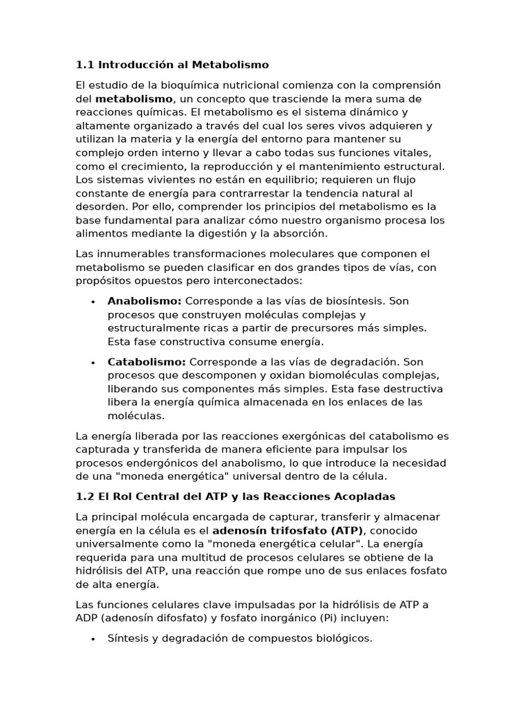 Resumen Dijestion y Absorcion | PDF | Digestión | Bilis