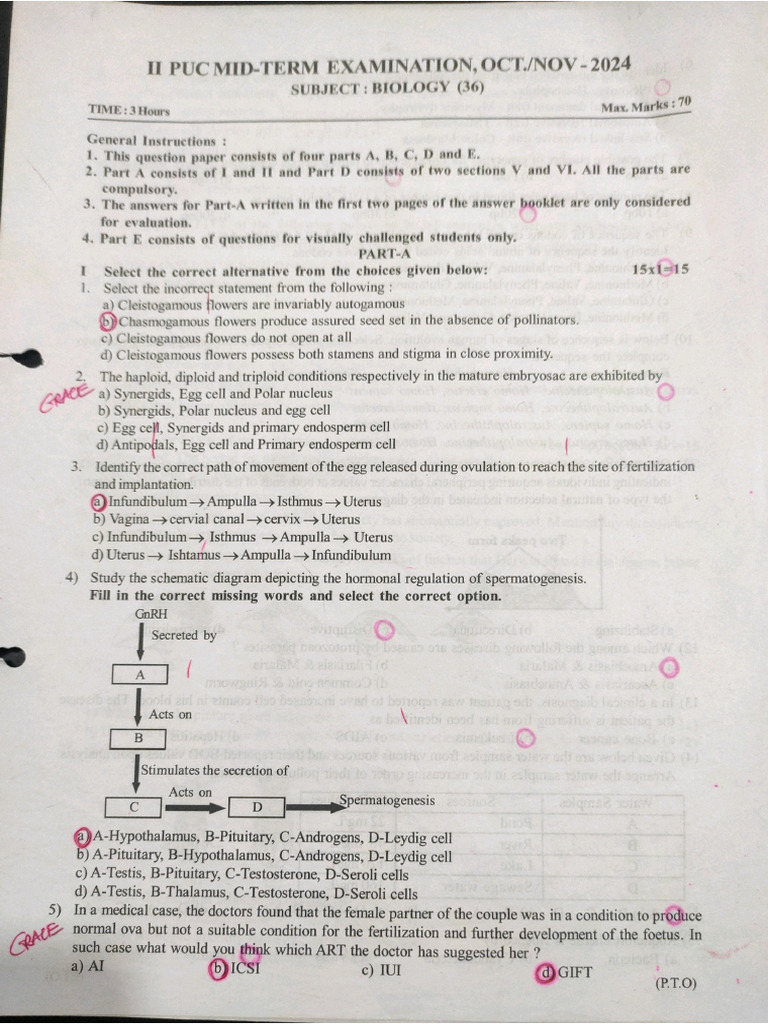 2024 2nd PUC Mid Term Paper | PDF
