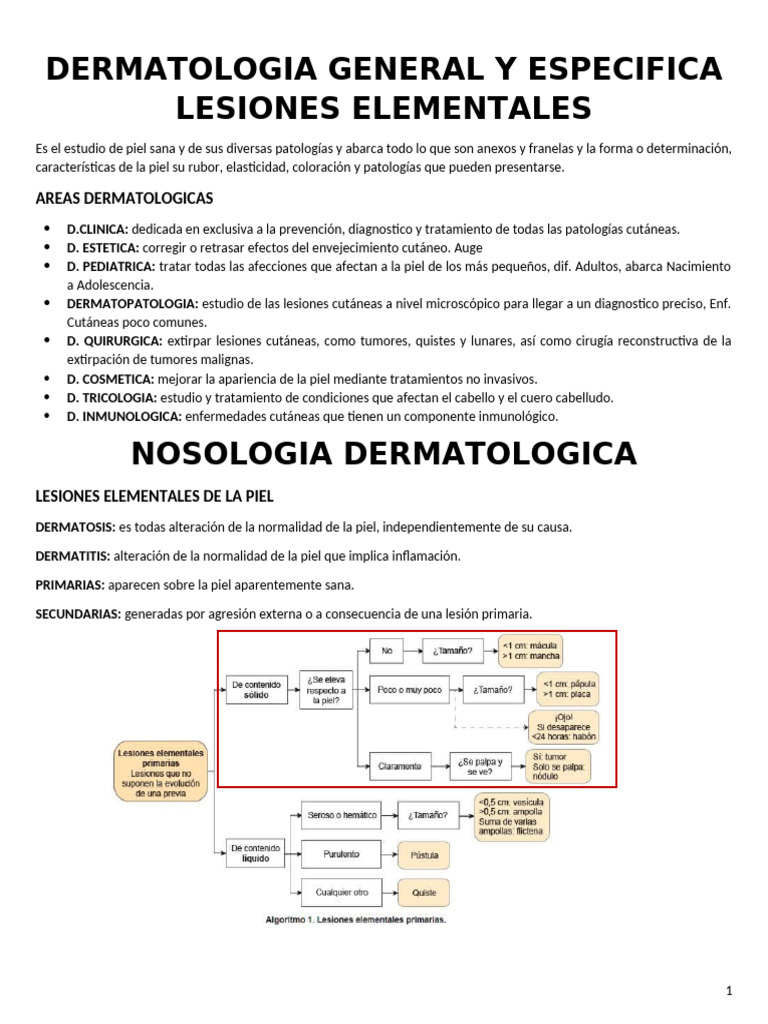 Dermatologia Resumenes | PDF | Dermatología | Piel