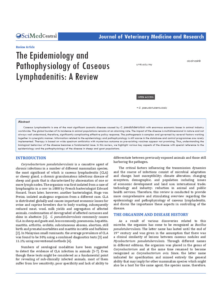 Caseous Lymphadenitis Overview | PDF | Infection | Medical Specialties