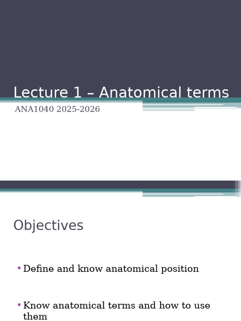 ANA1040 Lecture 1 - Anatomical Terms | PDF | Anatomical Terms Of Motion ...