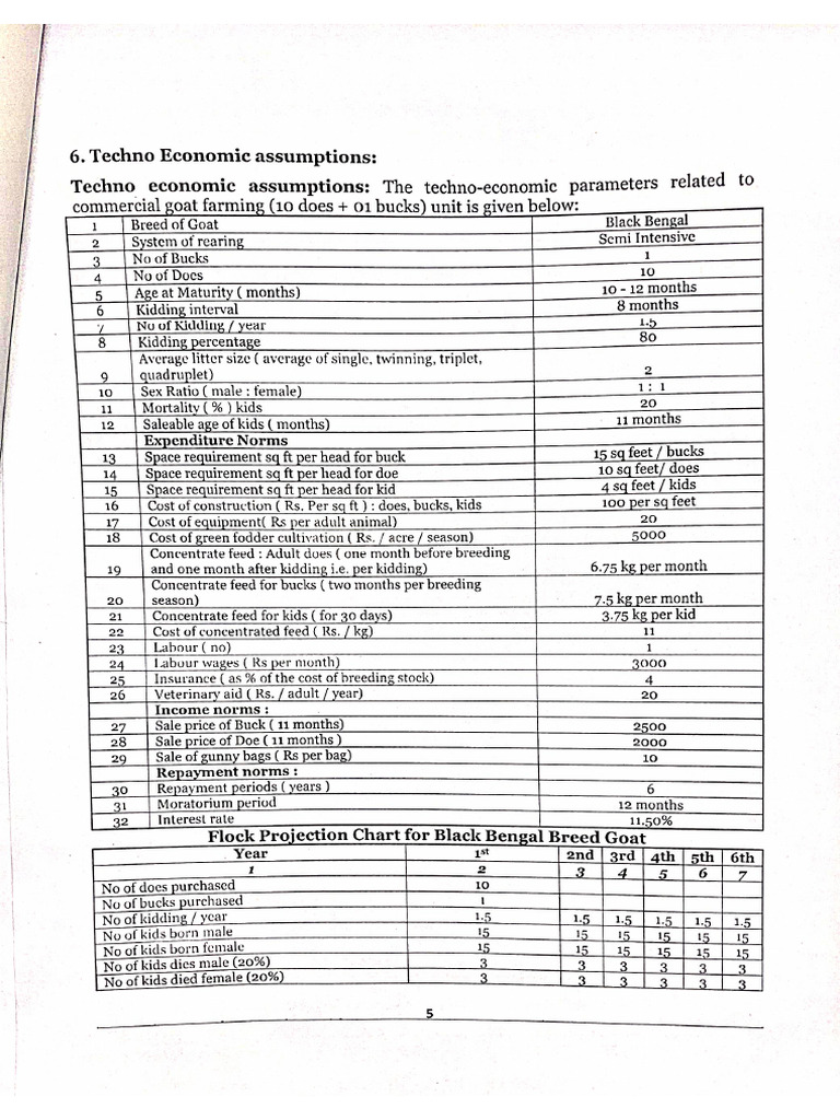 VAE Project Report | PDF