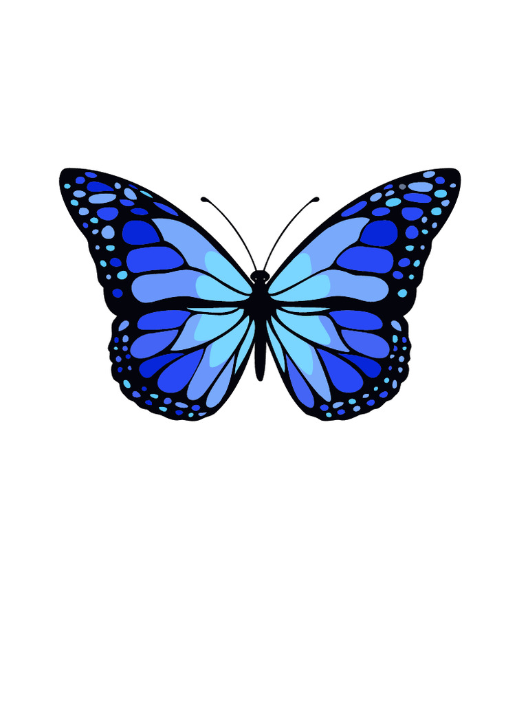 Mariposa | PDF