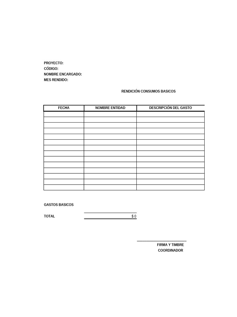 Formato Rendicion Cuestas Basicas. | PDF