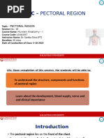 Pectoral Region Anatomy Overview | PDF