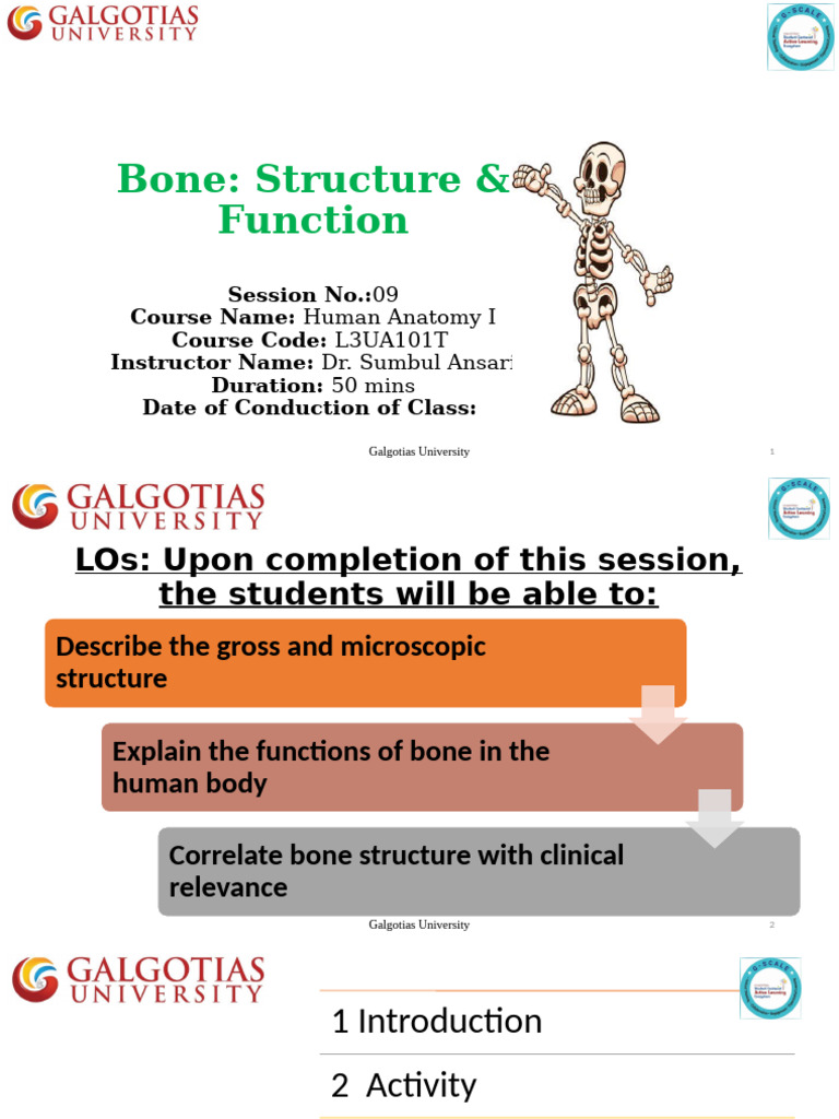 Basic Structure of Bone | PDF | Bone | Osteoblast