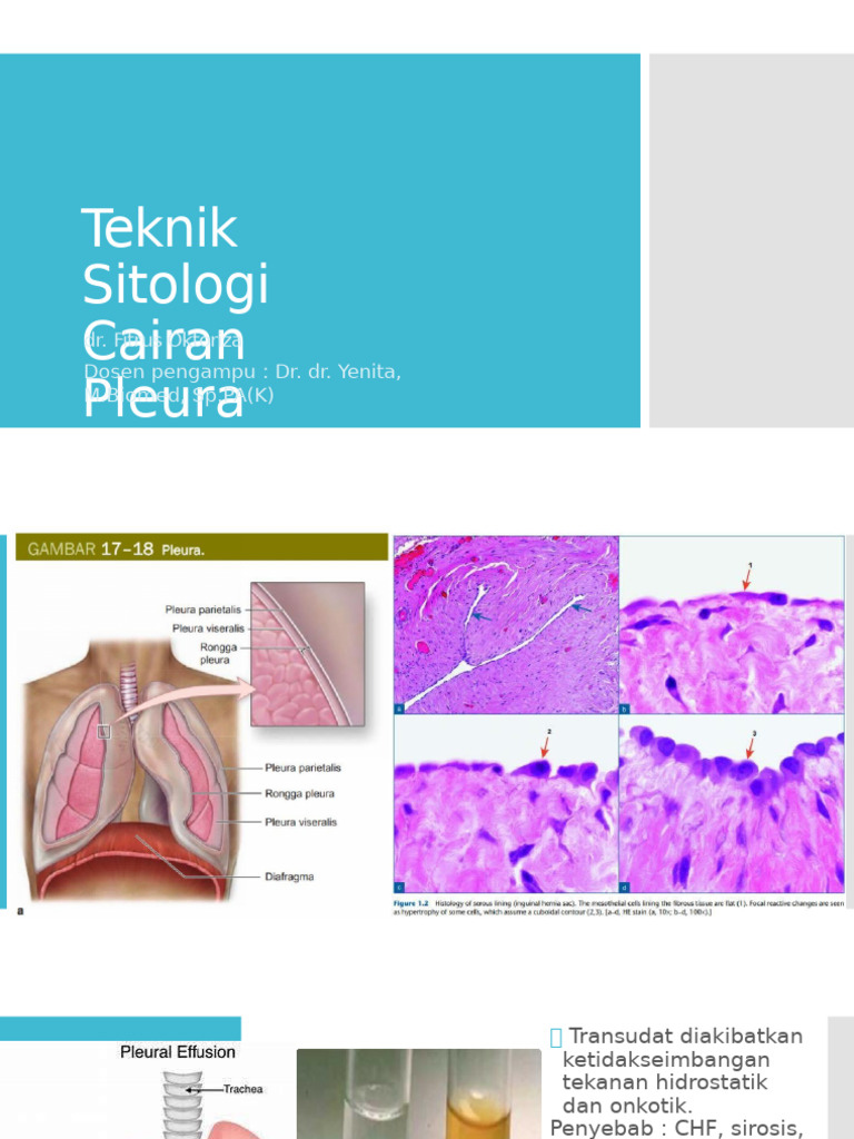 Cairan Pleura | PDF