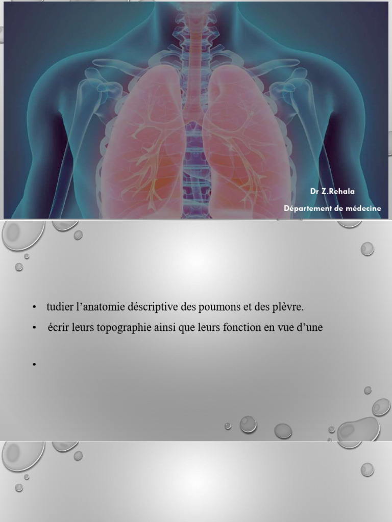 Anatomie des Poumons et Plèvres | PDF | Poumon | Thorax