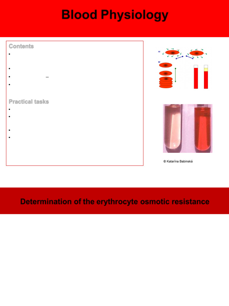 Lab Blood 1 Practical | PDF | Osmosis | Red Blood Cell