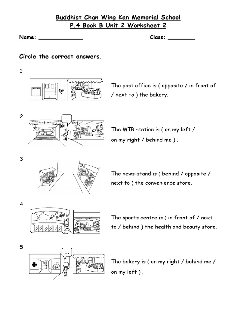 P.4 Book B Unit 2 Worksheet 2 | PDF