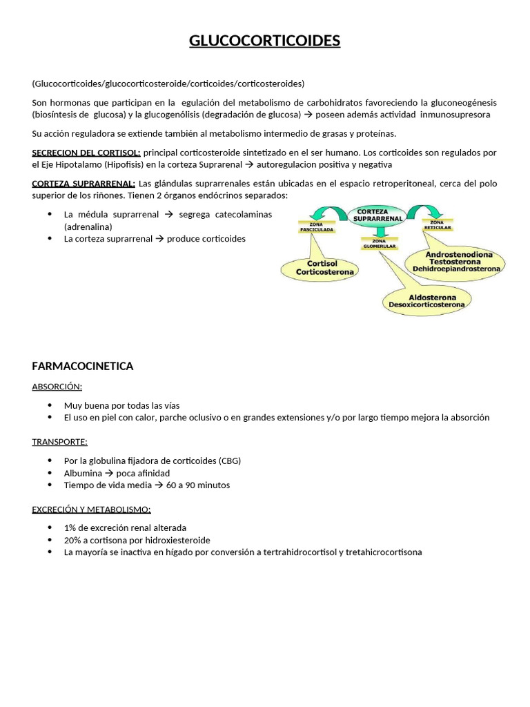 Glucocorticoides: Funciones y Efectos | PDF | Glucocorticoides ...