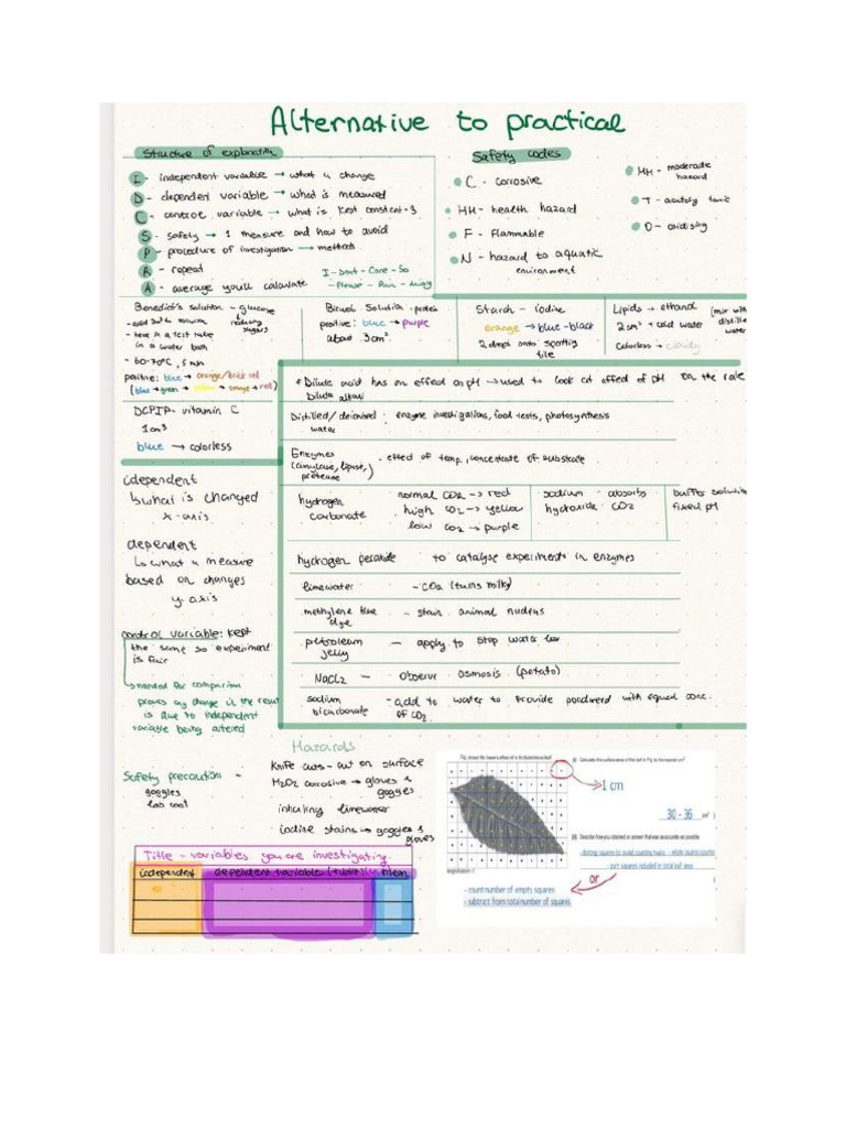 Bio p6 Tips | PDF