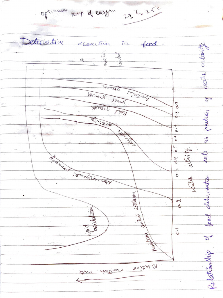 Food Chem 1 | PDF