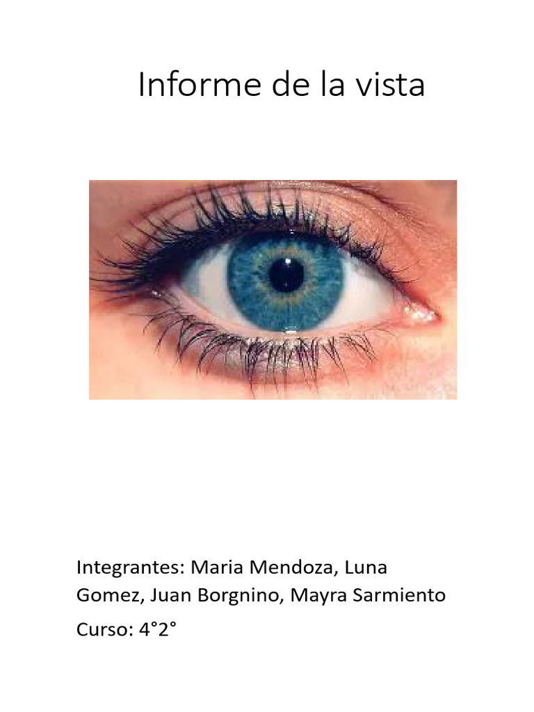 Funcionamiento del sentido de la vista | PDF | Ojo humano | Percepción ...