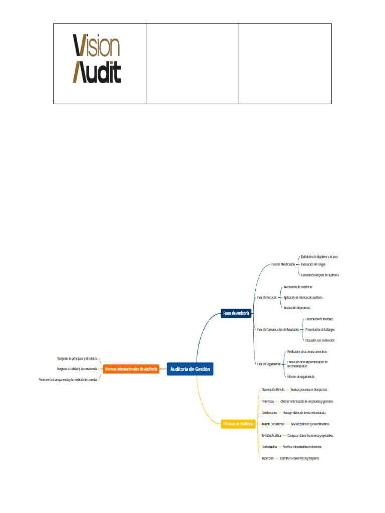 Visión Audit | PDF