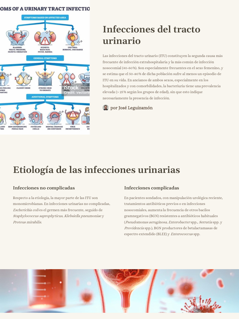 Infecciones Del Tracto Urinario | PDF | Infección del tracto urinario ...