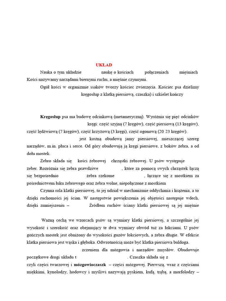 Anatomia Psa - Ogólna | PDF