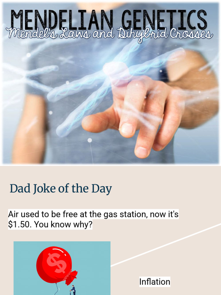 Mendel's Laws and Dihybrid Crosses Lesson Slides | PDF | Dominance ...