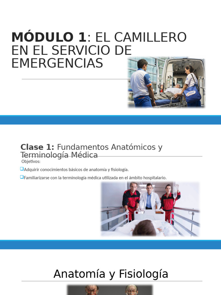 Camillero 1ra Y 2da Clase Pdf Sistema Circulatorio Términos