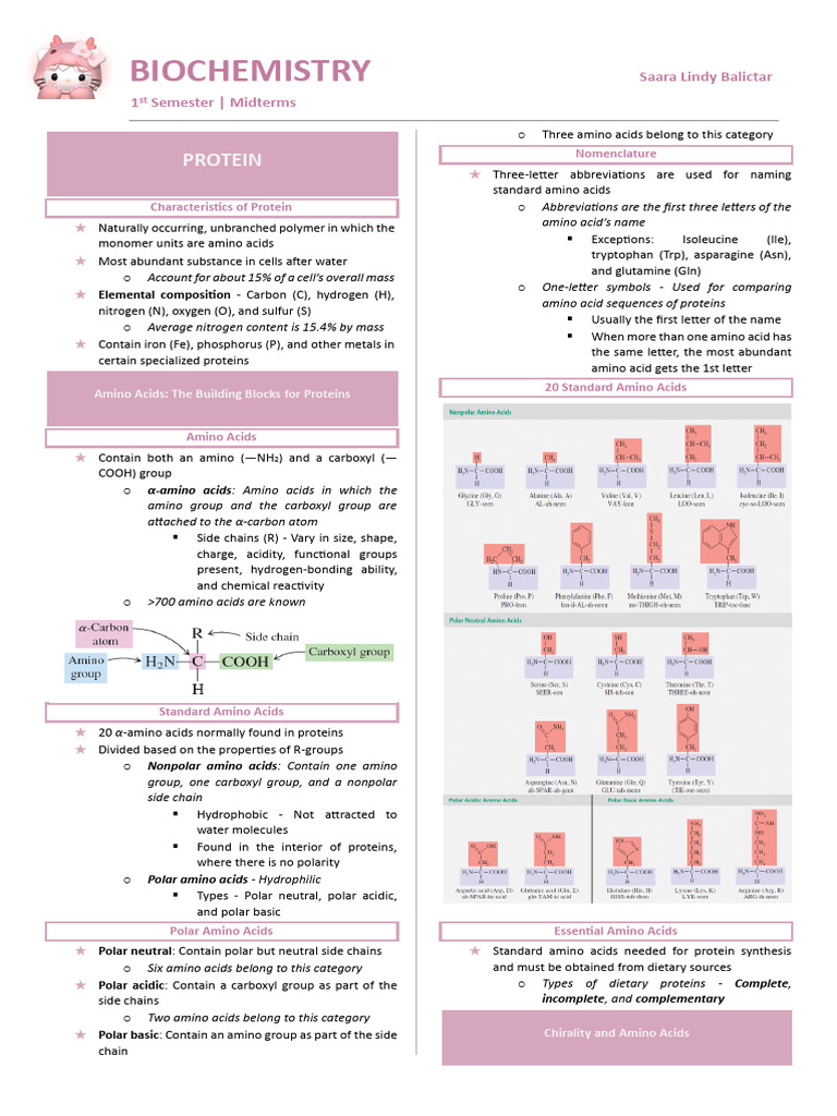 Protein Structure and Amino Acids Overview | PDF | Amino Acid | Proteins
