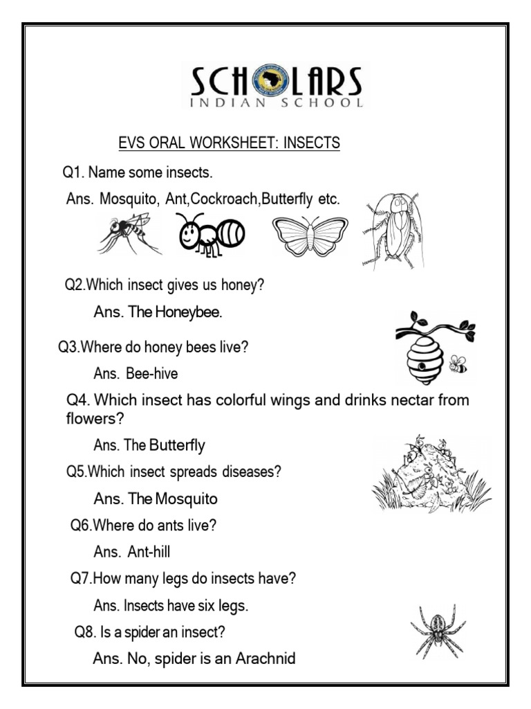 INSECT Worksheet - EVS Oral | PDF