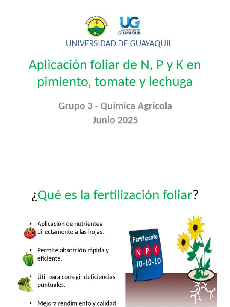 Presentacion - Aplicacion - Foliar - NPK G3 | PDF | Fertilizante | Pimiento