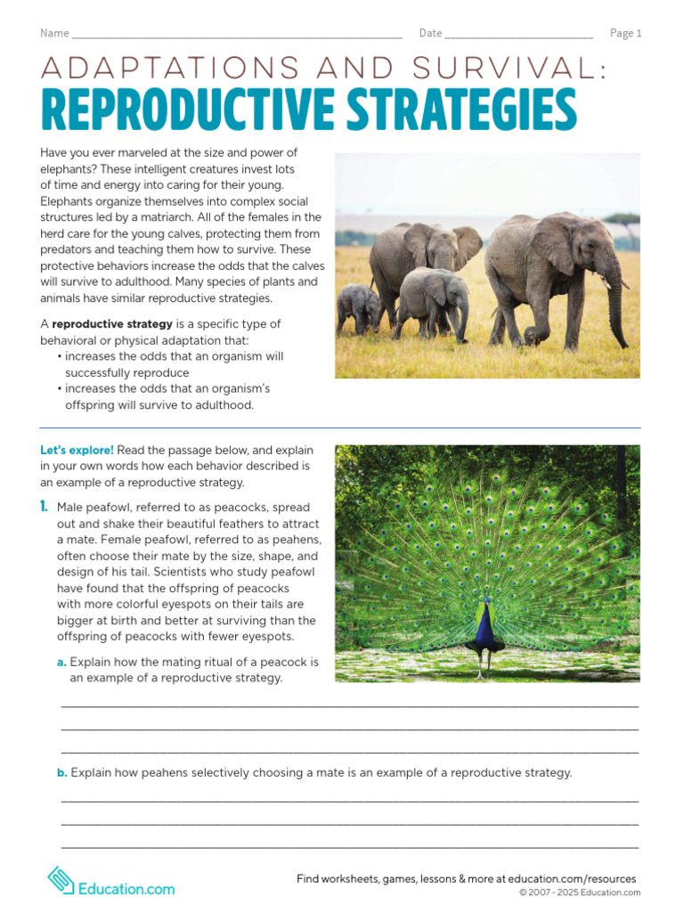 Adaptations and Survival Reproduction Strategies | PDF | Peafowl | Zoology