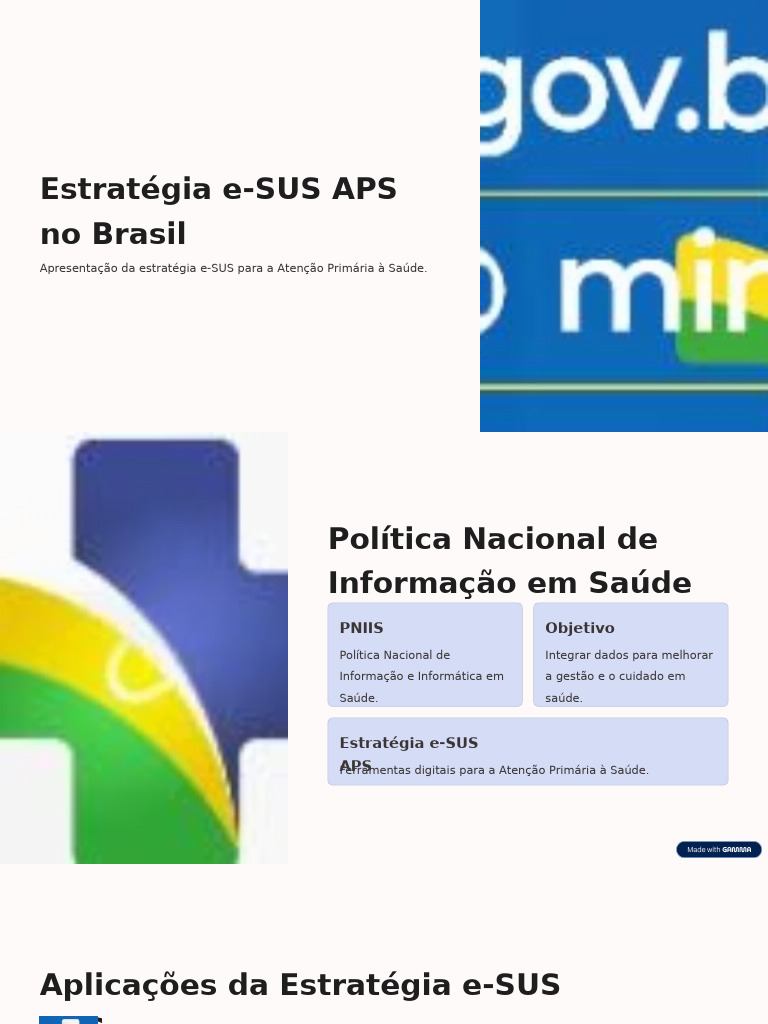 Estratégia e-SUS na Atenção Primária | PDF | Prontuário eletrônico ...