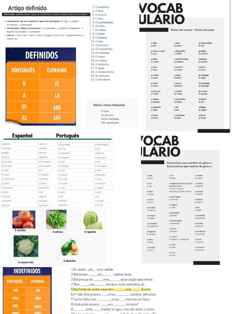 Articulos Definidos e Indefinidos | PDF
