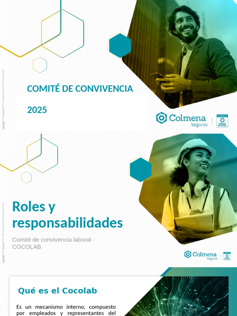 Funciones del Comité de Convivencia Laboral | PDF
