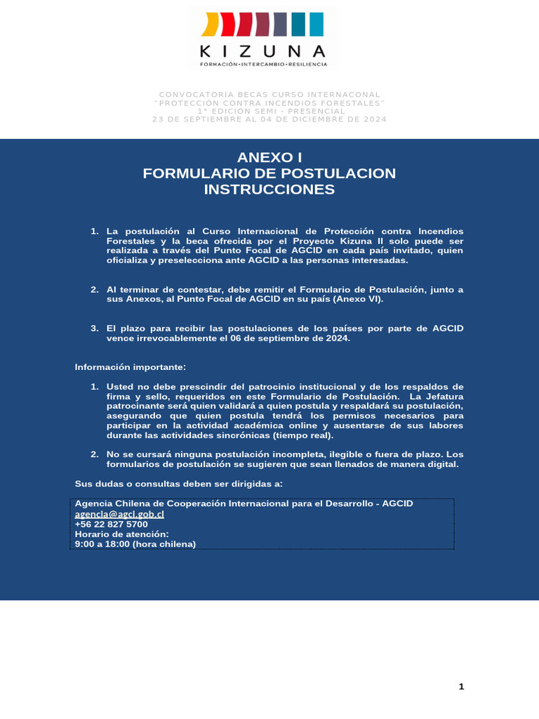Anexo I - Formulario Postulacion | PDF