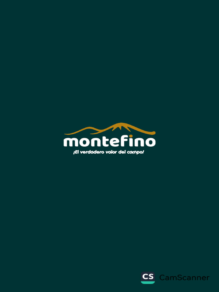 Delicias Tradicionales de Montefino | PDF | ensalada | Postres