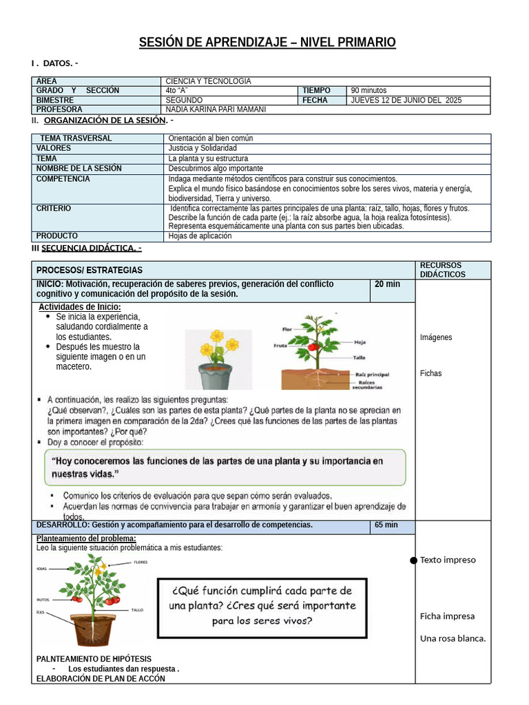 SESIÓN DE APRENDIZAJE 3CYT - La Planta y Su Estructura | PDF | Plantas ...