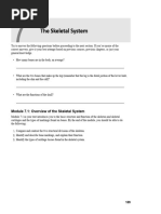 Unlabeled Axial Skeleton Overview | PDF | Skull | Skeletal System