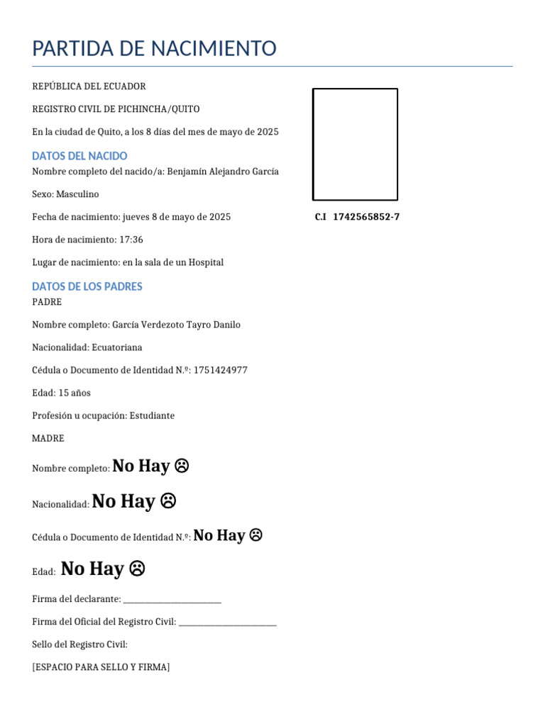 Plantilla Partida de Nacimiento | PDF