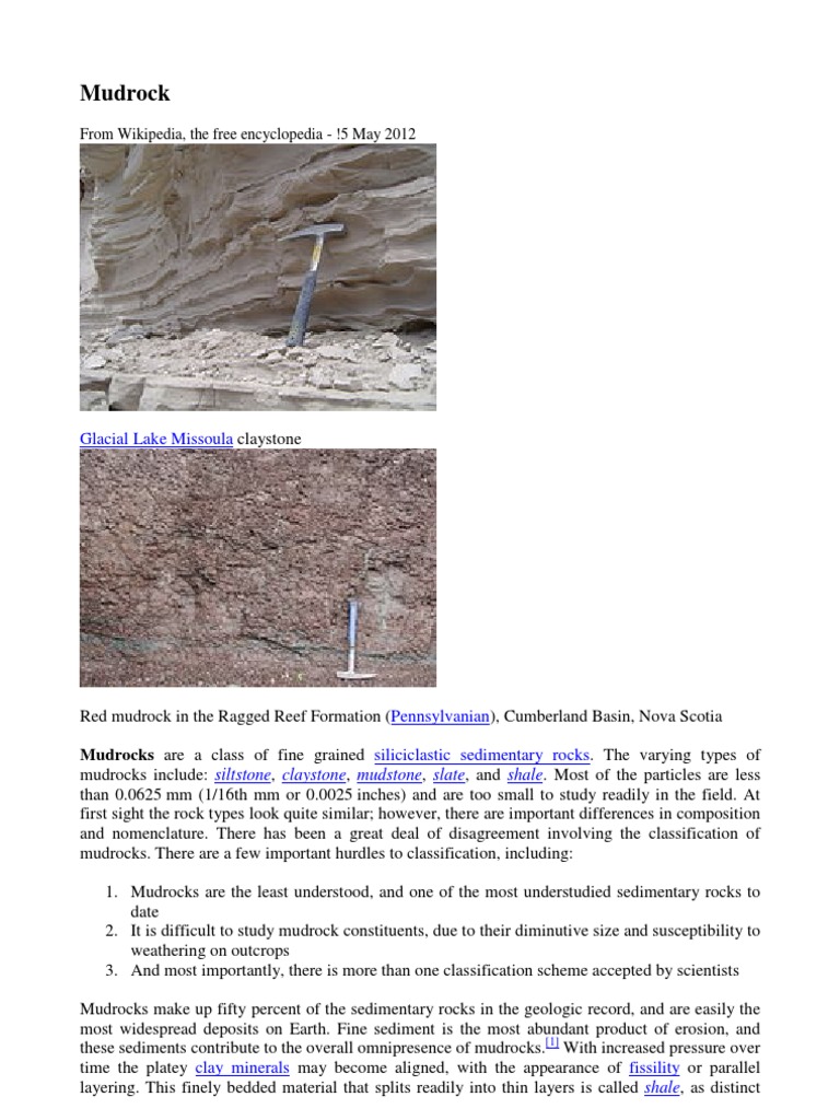 Differences in Types of Mudstones-VVI | Geology | Petrology