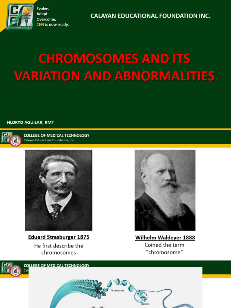 Module 9 Chromosomes and Its Variation and Abnormalities | PDF ...