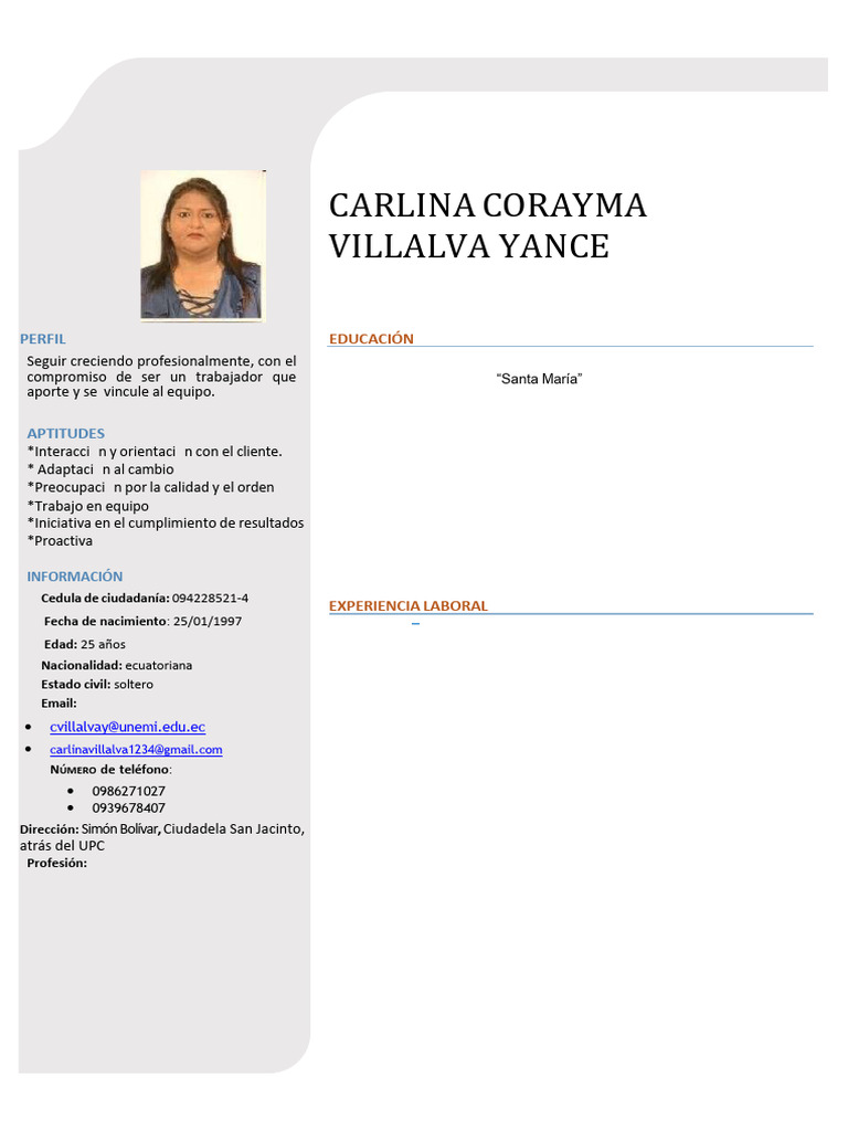 Perfil Profesional de Carlina Villalva | PDF | Bancos | Contador