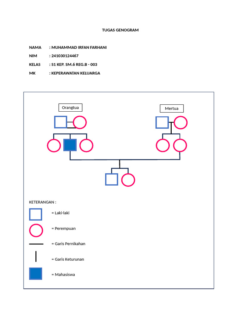 Tugas Genogram Keperawatan Keluarga | PDF