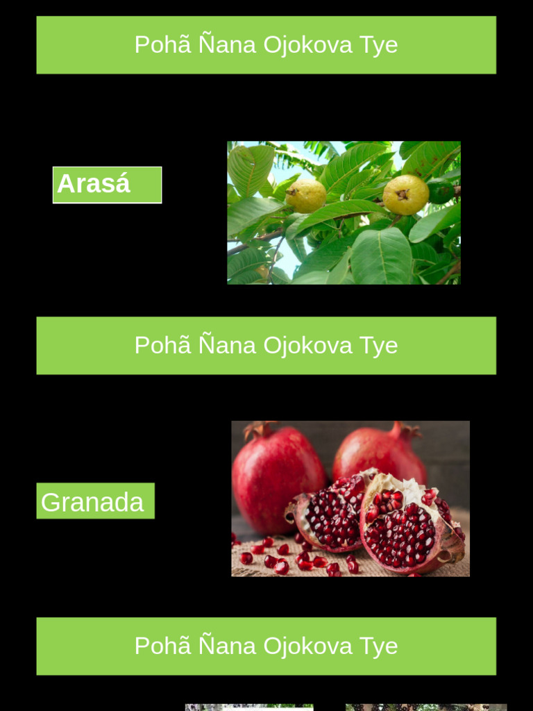 Pohã Ñana Ojokova Tye | PDF