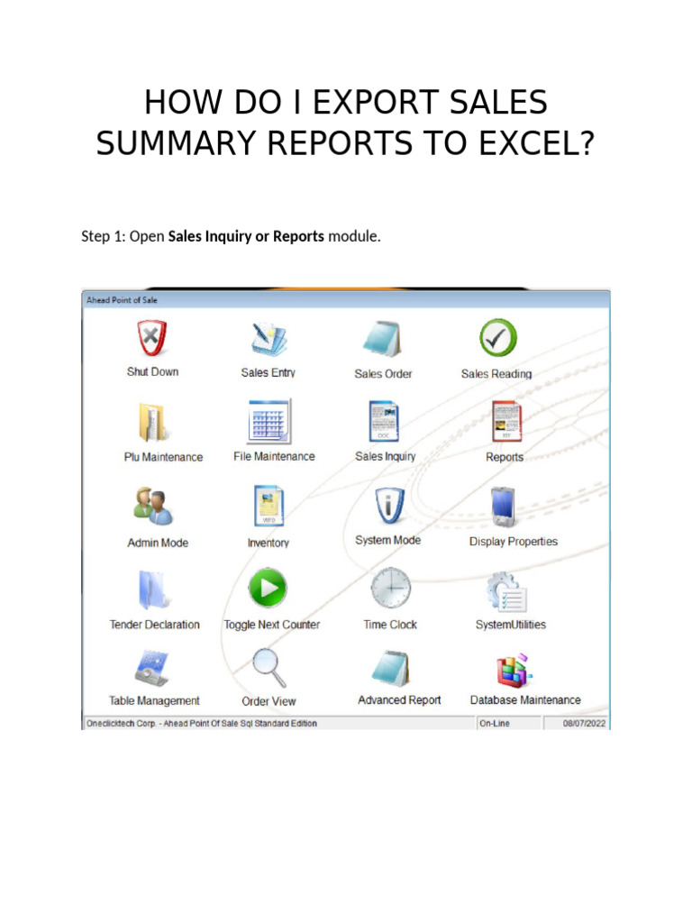 Export Sales Summary Reports to Excel | PDF